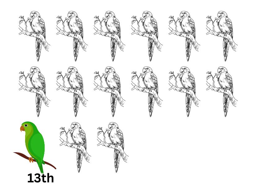 Ordinal-Numbers-Plural- LangLex Kids