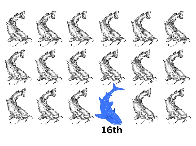 Ordinal-Numbers-Plural- LangLex Kids